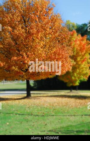 Fall colors landscape, Chesterfield County Virginia USA. Orton effect ...