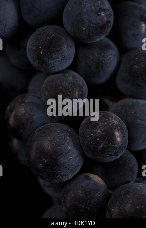 Grape berry (vitis vinifera Stock Photo - Alamy