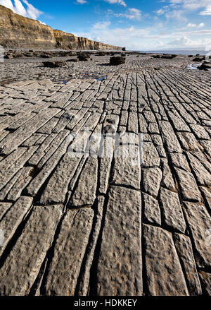 Wave cut platform of Jurassic lias limestone strata in the Bristol ...