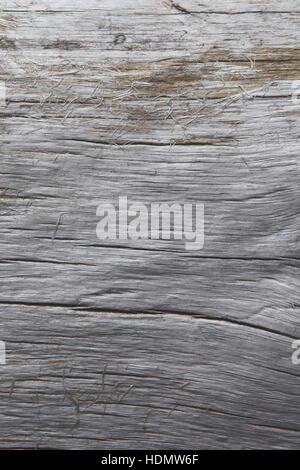 Texture of old driftwood, washed up by the sea, closeup Stock Photo - Alamy