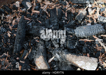 Remnants of burnt firewood at a campsite Stock Photo - Alamy