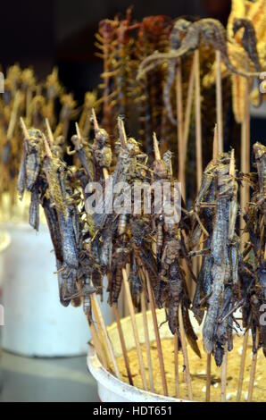 Deep fried locusts on a market in Thailand, Southeast Asia, Asia Stock ...