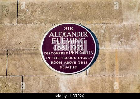 Alexander Fleming plaque, London, England, U.K Stock Photo - Alamy