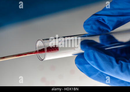 Forensic evidence. Swab sample from a crime sceneon top of a forensic ...