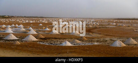salt fields, natural extraction of salt from sea water, healthy salt ...