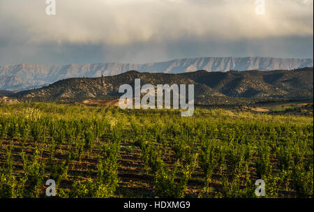 Morocco, middle Atlas Stock Photo - Alamy