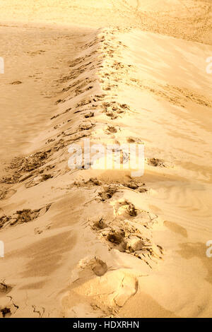 Desert at Shapotou Scenic Area, Zhongwei, Ningxia, China Stock Photo ...