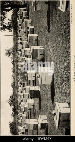 The 1916 *Book of Texas* provides an in-depth overview of Texas ...