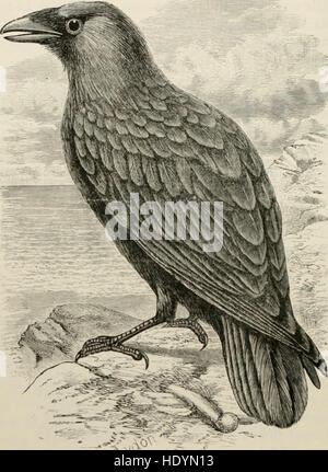 This 1898 work provides a comprehensive guide to traditional and modern ...