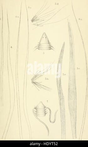 *The Annals and Magazine of Natural History* (1838) covers a broad ...