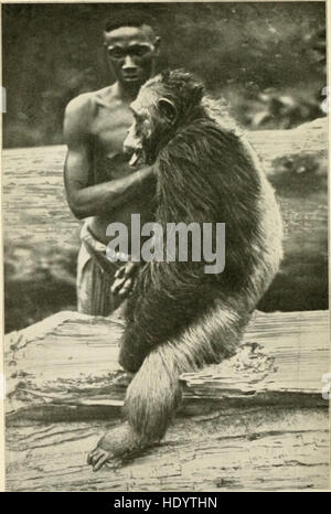 This 1913 account details the German Central African expedition of 1910 ...