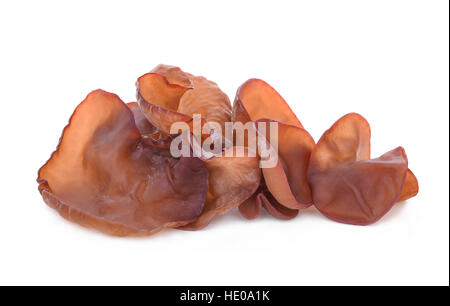 Jew's ear mushroom isolated on white background Stock Photo - Alamy