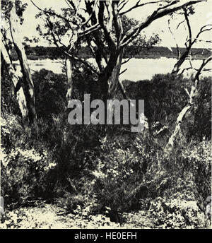 The Victorian naturalist (1975 Stock Photo - Alamy