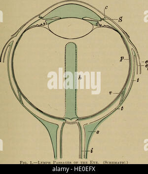 This 1919 textbook of ophthalmology covers the anatomy and diseases of ...