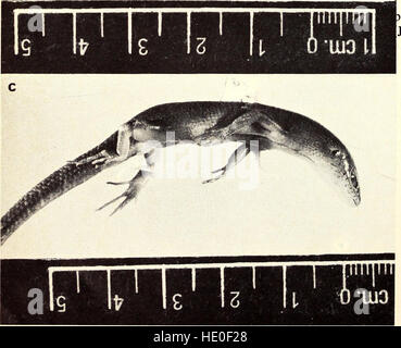 'The Victorian Naturalist' (1975) is a journal dedicated to the study ...