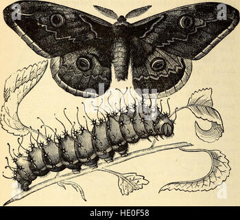 *Comparative Zoology* (1883) offers an in-depth exploration of the ...