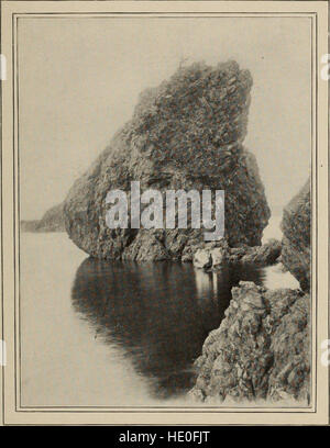 This 1902 treatise explores the history and early 20th-century ...