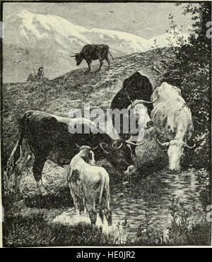 *Echoes from the Rocky Mountains* recounts the history of the American ...