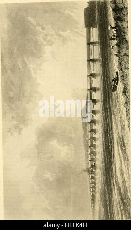 The 1873 publication 'History of the American Civil War' offers a ...