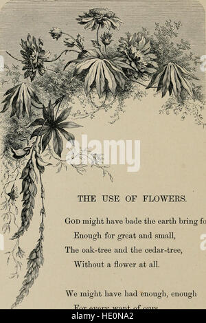 This 1873 collection of poems, 'Birds and Flowers', reflects on rural ...