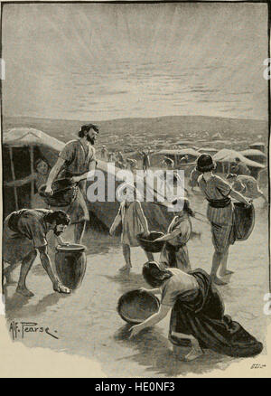 *The Art Bible* (1896) includes illustrated versions of the Old and New ...