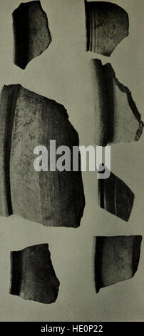 *Records by Spade and Terrier* (1918) is a collection of accounts and ...