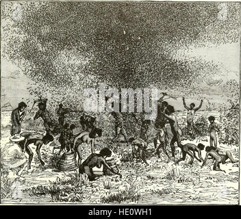 This work explores human evolution, origins, and social development ...