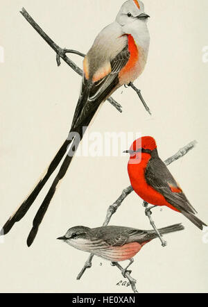 'Bird-lore' (1907) is a publication dedicated to the study and ...
