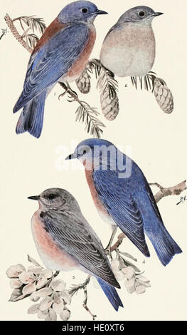 Bird-lore, published in 1907, offers an early compilation of ...