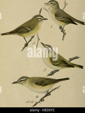 'Bird Lore' (1909) is a publication dedicated to the study of birds ...