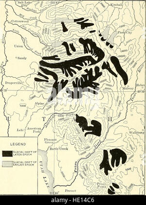 This work discusses forest management techniques, focusing on the ...