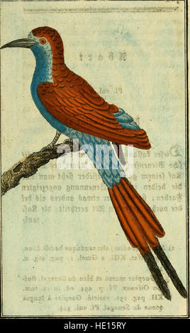Buffon's 'Natural History of Birds' is a comprehensive 18th-century ...