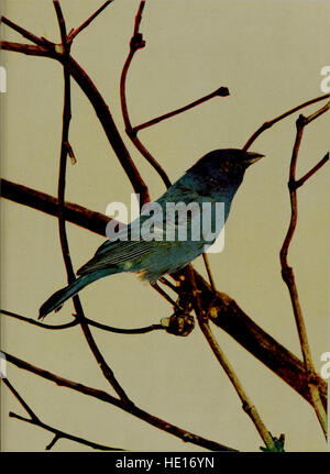 The 'Alabama Bird Day Book' (1913) offers a guide to Alabamaâ€™s bird ...