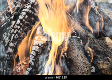 old burnt firewood logs in firepit outside in the northern summer macro ...