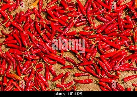 Chili's are drying in the sun on a braided mat, Sarangkot, Kaski ...