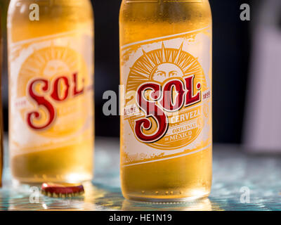Bottles of Sol beer Stock Photo - Alamy