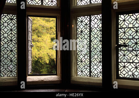 Leaded engraved medieval windows in the Great Chamber of New Hall Manor ...