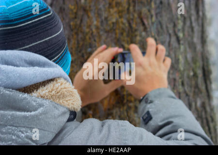 man shooting tree bark with his mobile phone Stock Photo - Alamy