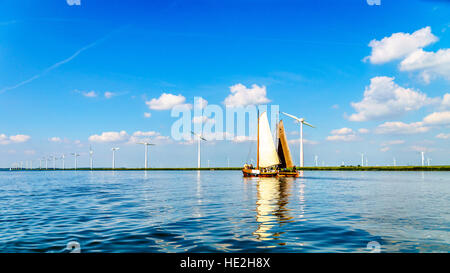 Two Historic Wooden Botter Boats in Full Sail near a Wind Farm along ...