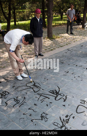 Chinese writing calligraphy decorative handwriting handwritten letters ...