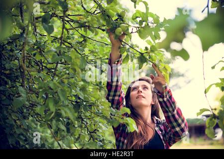 Cultivate Garden Nature Seasonal Growth Concept Stock Photo - Alamy