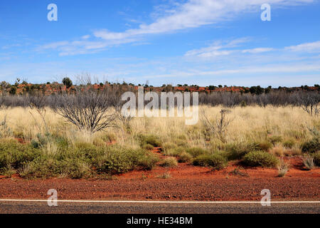 Native plants at Uluru, Alice Spring, Yulara Stock Photo: 129147120 - Alamy