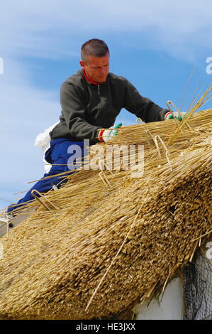 Roof Thatching on Anglesey Stock Photo - Alamy