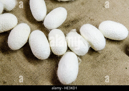 Sorting silk cocoons at the Silk Spinning Mill Suzhou, China Stock ...