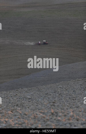 The thin soils of Tuscany ploughed at steep angles. Tuscan hills near ...