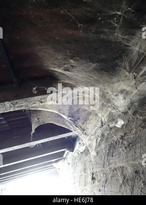 Old dusty, creepy objects covered in cobwebs and dust Stock Photo - Alamy