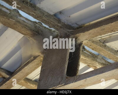 Old dusty, creepy objects covered in cobwebs and dust Stock Photo - Alamy