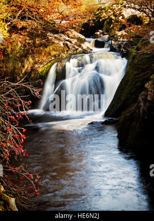 Beezley Falls Waterfall in the River Doe on the Ingleton Waterfalls ...