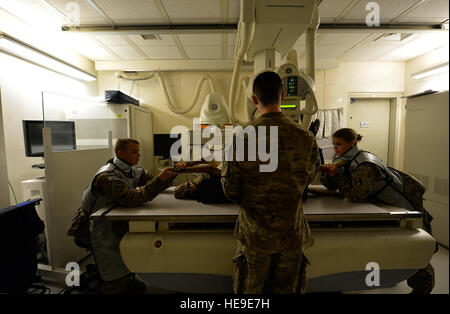 Kimbo, a military working dog, is prepared for an x-ray at Bagram ...