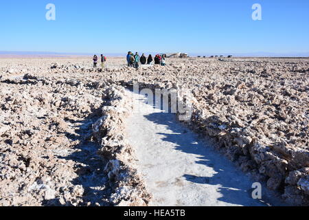 Salt flats lake in Atacama desert Chile Stock Photo - Alamy